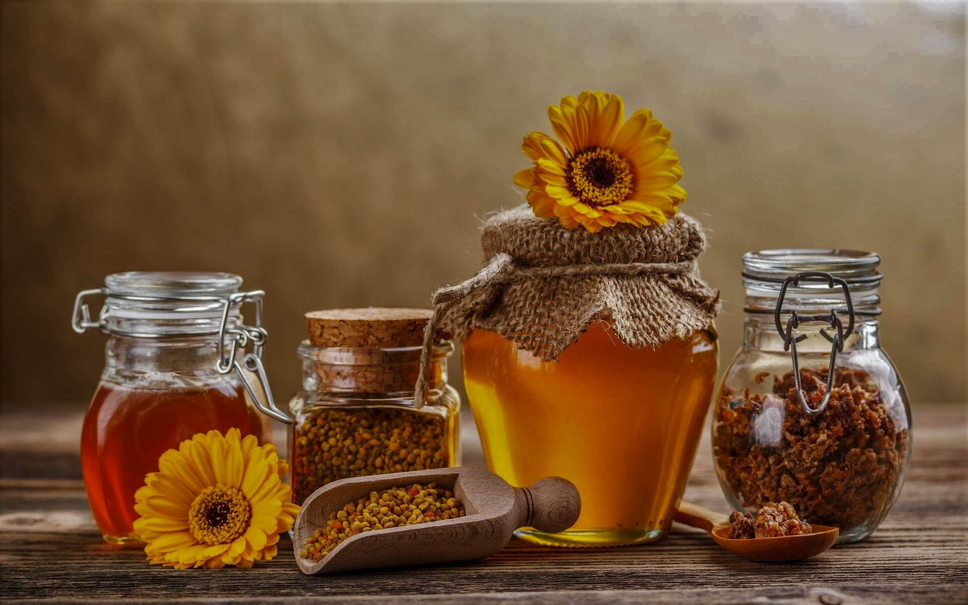 Bee Basket - Bee Conservation | Bee Products Store | Bee keeping Workshops